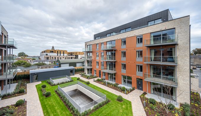 Property to Rent in Dublin 6W, Dublin | Daft.ie