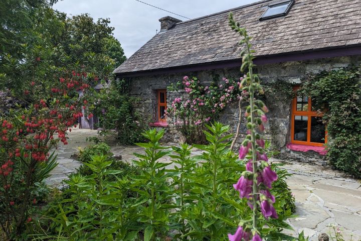 Property to Rent in Clare (County) | Daft.ie
