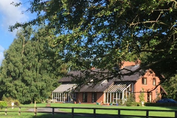 Property to Rent in Sallins (& Surrounds), Kildare | Daft.ie