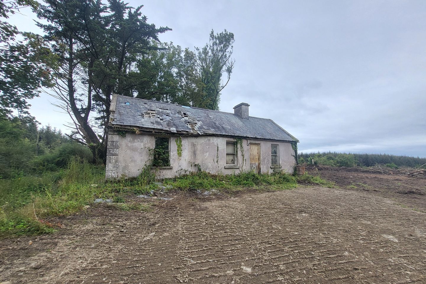 Feenagh, Lissycasey, Co. Clare is for sale on Daft.ie