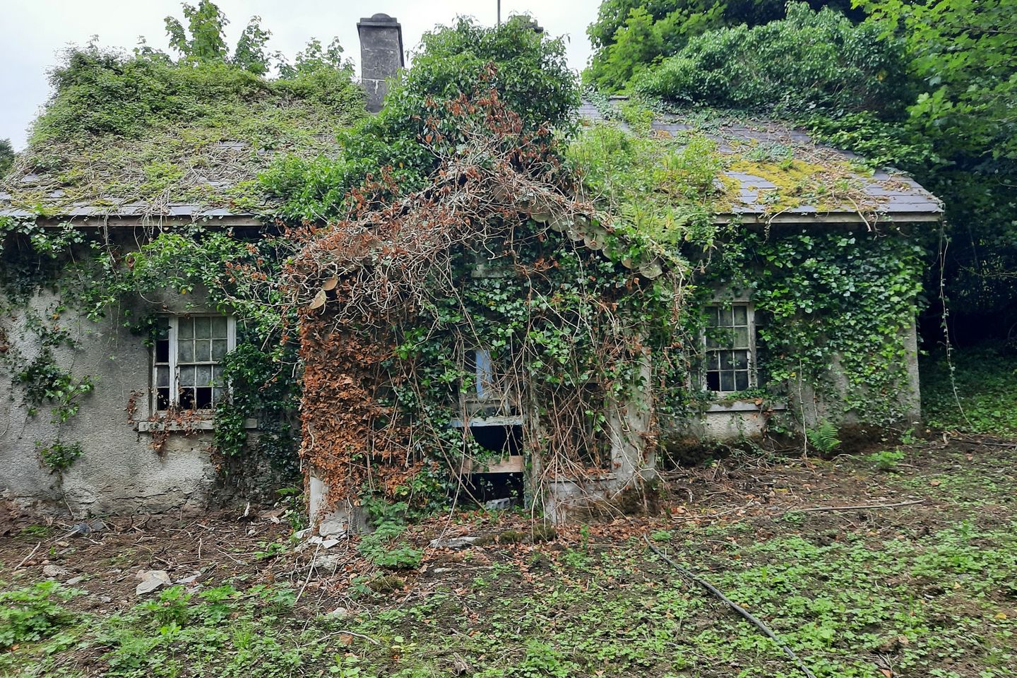 Sessuegarry, Cloonacool, Co. Sligo is for sale on Daft.ie