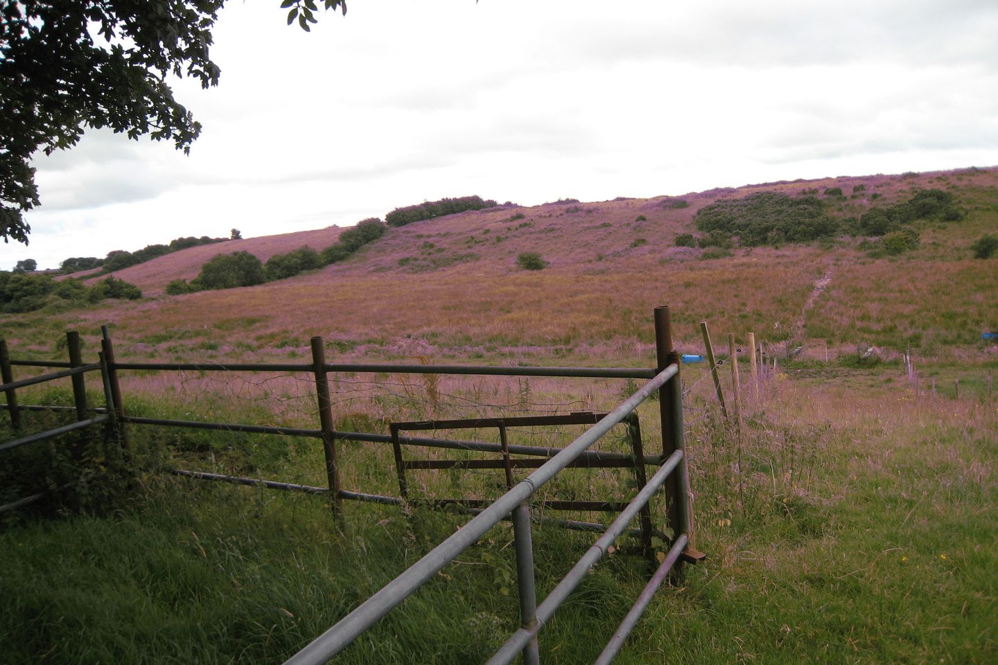 Commercial property for sale in Liscunnell, Errew, Castlebar, Co. Mayo