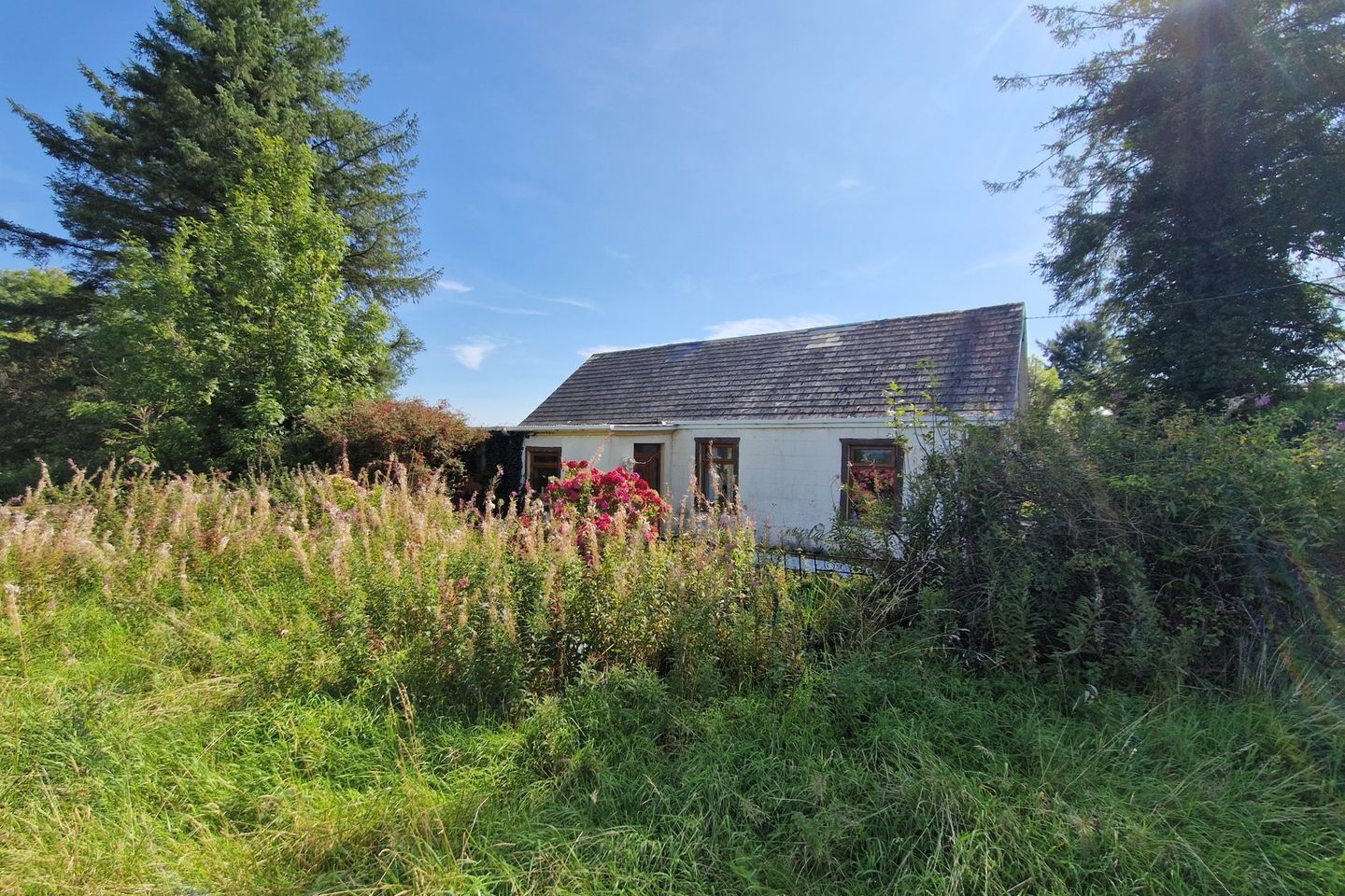 Carrowmore, Killasser, Swinford, Co. Mayo, F12A722 is for sale on Daft.ie