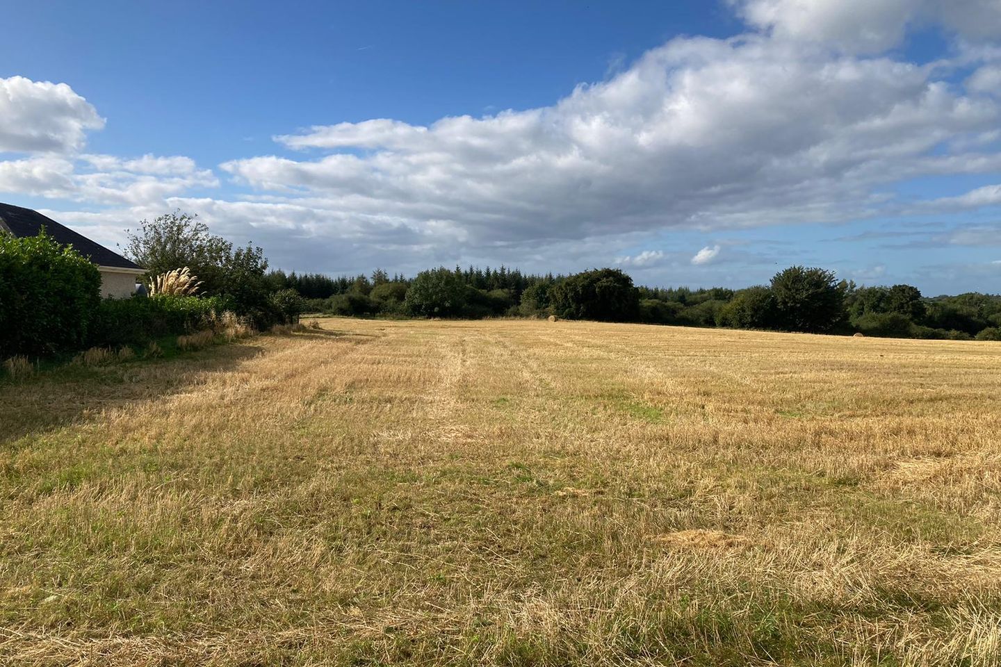 Hogan's Pass, Newtown, Nenagh, Co. Tipperary is for sale on Daft.ie