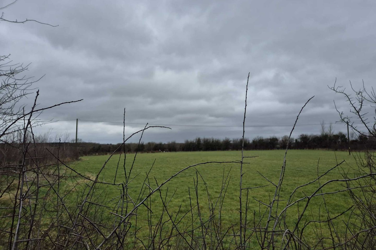 Commercial property for sale in Ballyfoleen South, Kilfinny, Co. Limerick