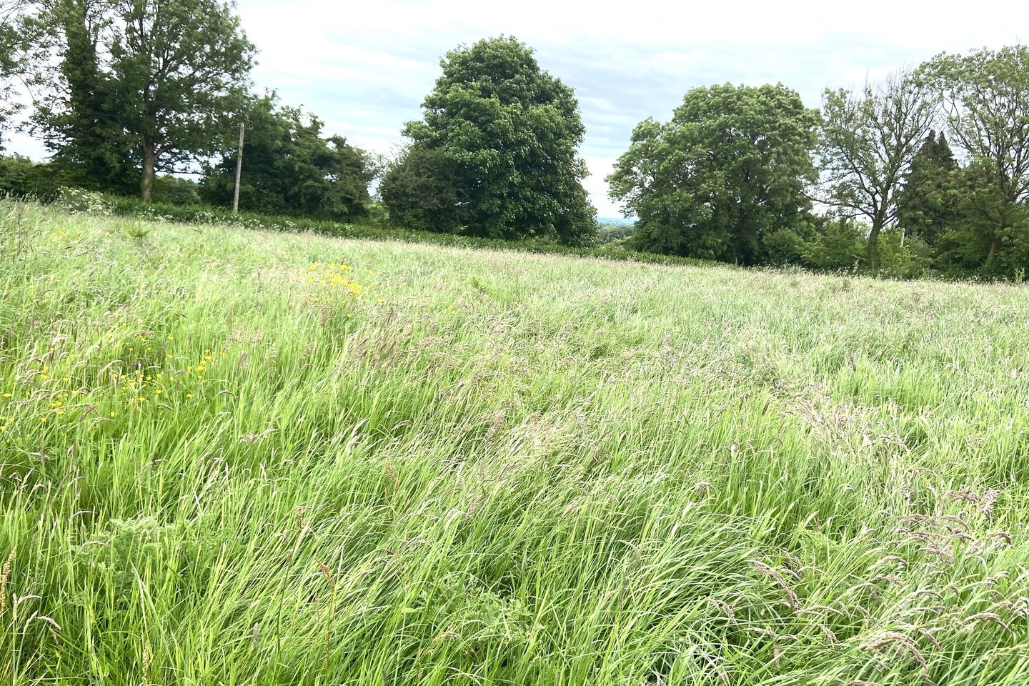 Newtown Upper, Donohill, Co. Tipperary is for sale on Daft.ie