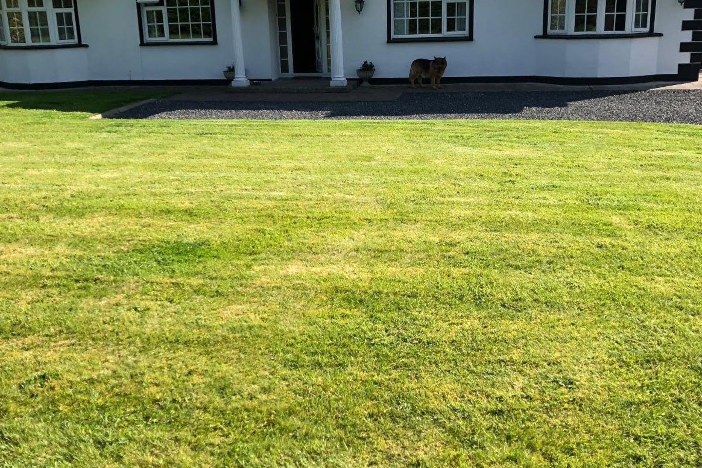 Martinstown , Johnstown Bridge, Co. Kildare to share on Daft.ie