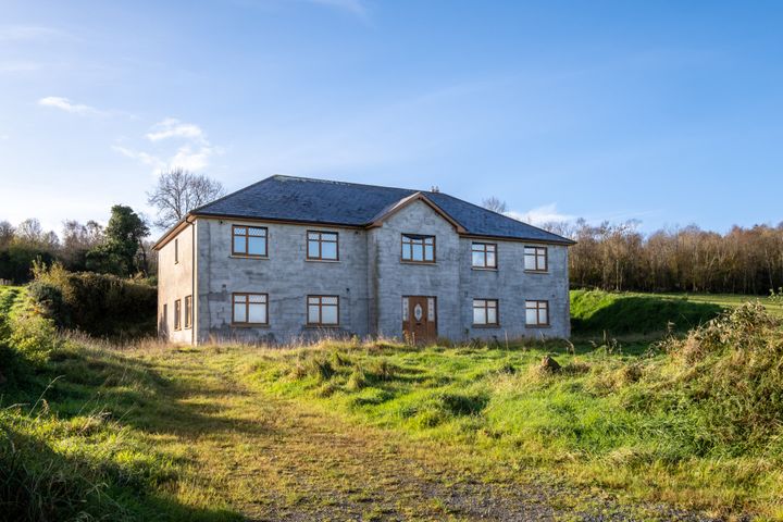 Property for Sale in Portumna, Galway | Daft.ie