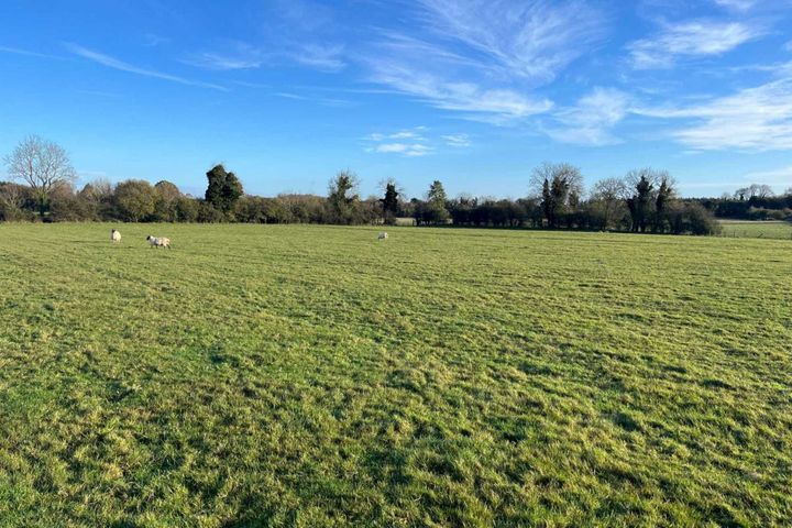 Agricultural Land for Sale in Kildare (County) | Daft.ie