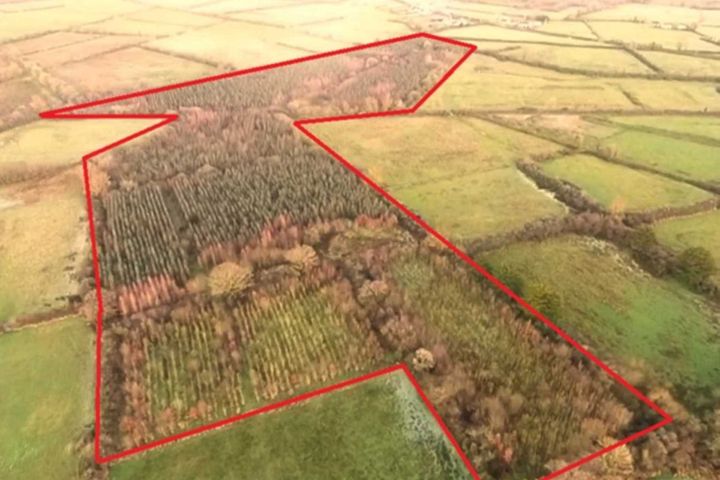 Agricultural Land for Sale in Limerick (County) | Daft.ie