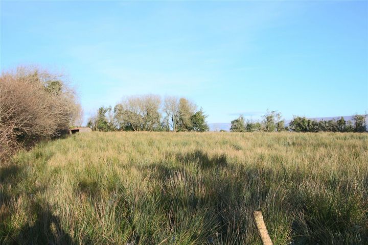 Agricultural Land for Sale in Roscommon (County) | Daft.ie