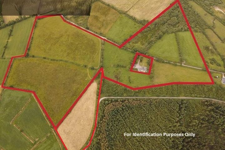 Agricultural Land for Sale in Kilkenny (County) | Daft.ie