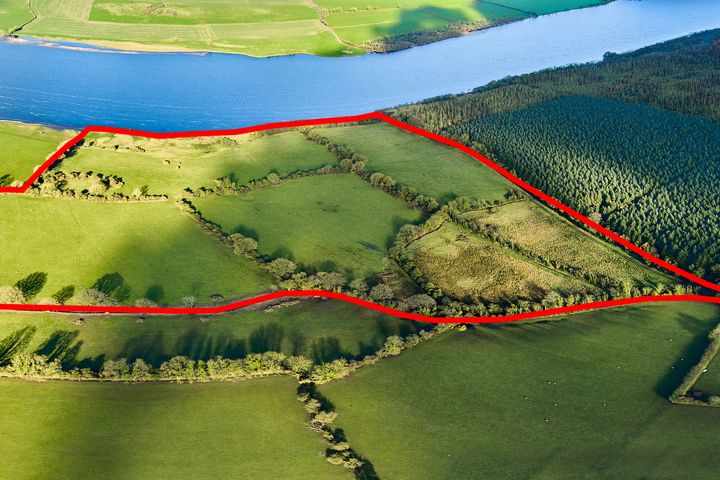 Agricultural Land for Sale in Westmeath (County) | Daft.ie