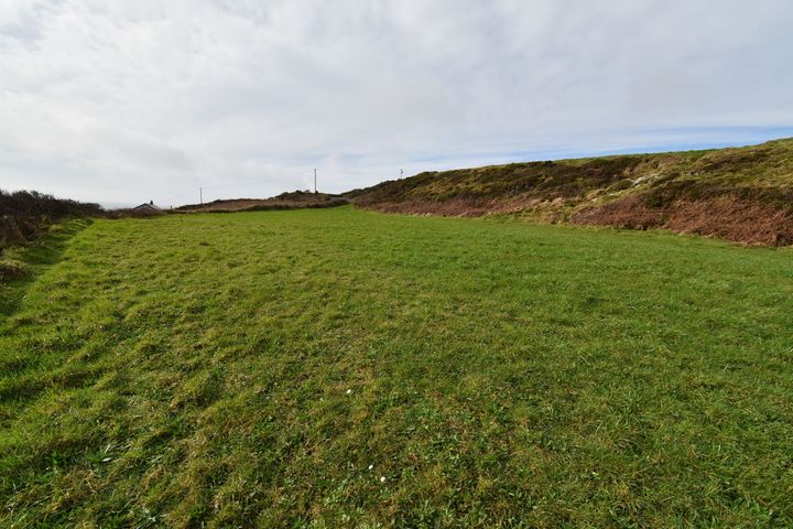 Agricultural Land for Sale in West Cork, Cork | Daft.ie