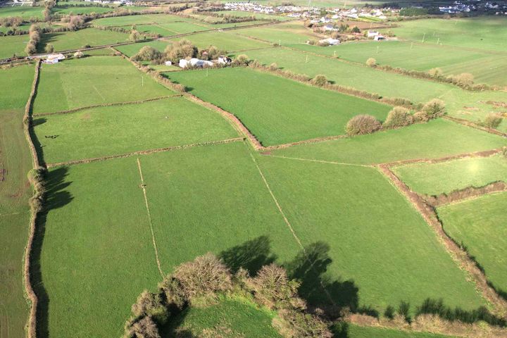 Agricultural Land for Sale in Laois (County) | Daft.ie