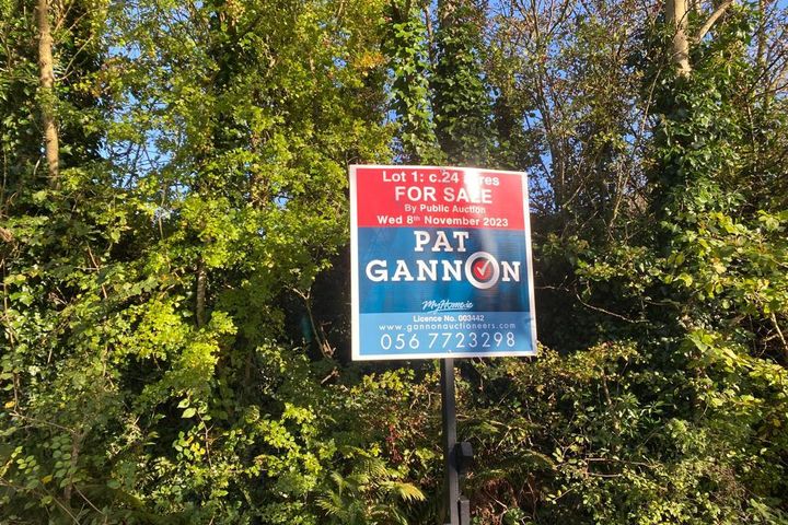 Agricultural Land for Sale in Kilkenny (County) | Daft.ie