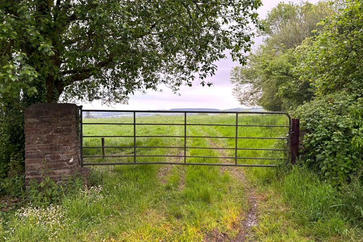 Agricultural Land for Sale in Laois (County) | Daft.ie