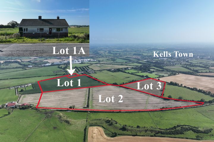 Houses for Sale in Kells, Meath | Daft.ie
