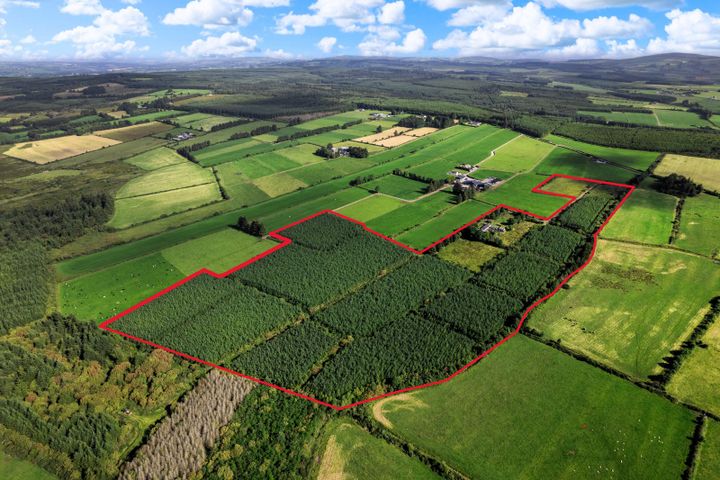 Property for Sale in Carrignavar, Cork | Daft.ie