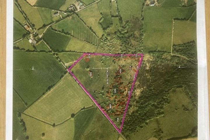 Agricultural Land for Sale in Laois (County) | Daft.ie
