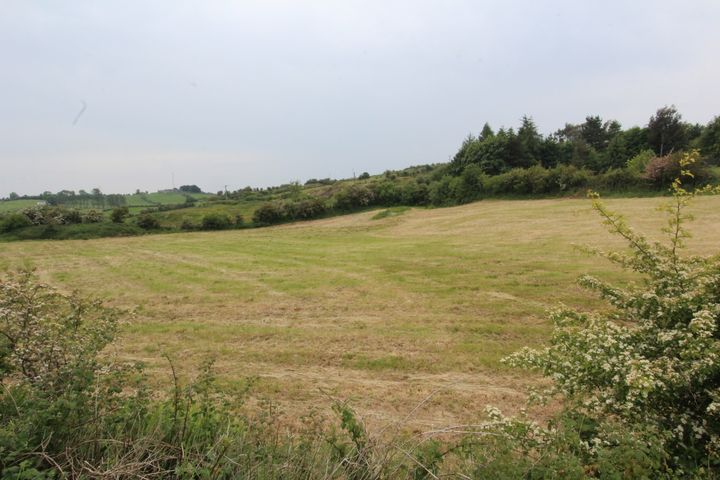 Property for Sale in Castleblayney (& Surrounds), Monaghan | Daft.ie