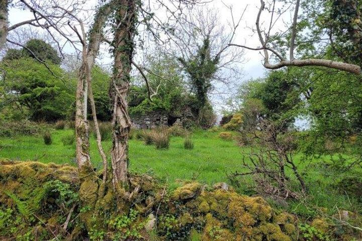 Agricultural Land for Sale in Donegal (County) | Daft.ie