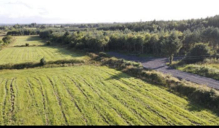 Ballyglass, Loughglynn, Co. Roscommon - Property.ie