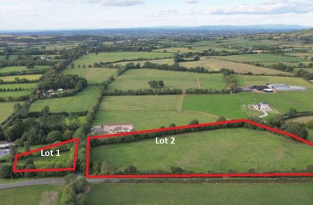 Glenwilliam, Ballingarry, Co. Limerick - Property.ie