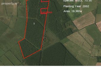 Lixnaw, Kerry Commercial Agricultural Land priced between and - Property.ie